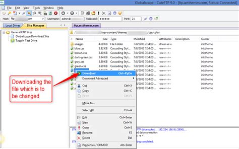 How To Edit Internal Files Through Ftp Inkthemes