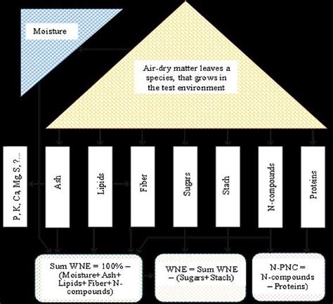 Algorithmic Analysis Of Woody Plants Adaptive Functional Responses To Download Scientific