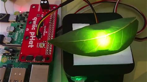 Monitoring Healthy Plants With As7263 Sensor And Raspberry Pi 4 Youtube