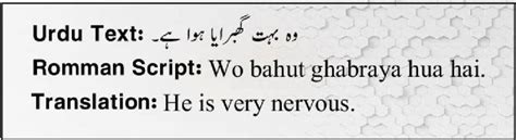 Translation From Urdu To Roman Urdu And English Download Scientific