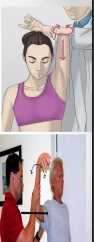 Phys Dx Shoulder Exam Flashcards Quizlet