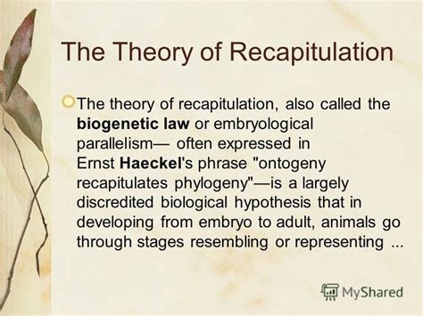 What Is Recapitulation Theory At Gerald Maurer Blog