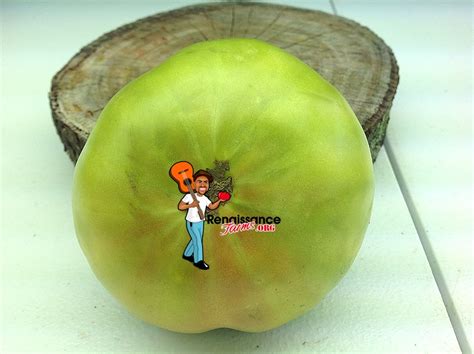 Dwarf Jackass Green Tomato Seeds For Sale At Renaissance Farms