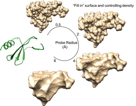 Using Biological Macromolecular Structures To Improve 3d Model Design