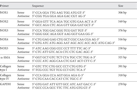 Table 1 From Role Of Reactive Oxygen Species In Transforming Growth Factor Beta1 Induced Alpha