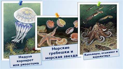 Презентация к уроку физики Реактивное движение 9 класс Область знаний физика Тип материала