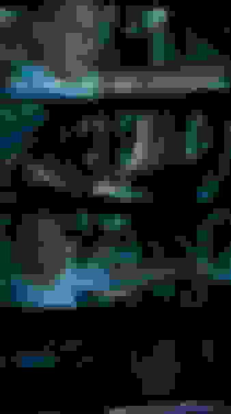 Excursion Memes Ford Truck Enthusiasts Forums