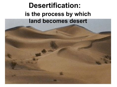 Desertification