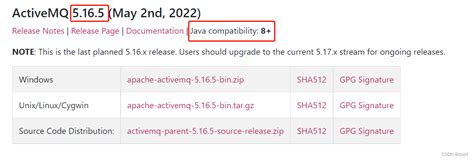 Activemq启动失败（无报错） 极客之音