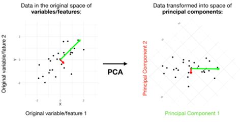 12 Factor Analysis Flashcards Quizlet