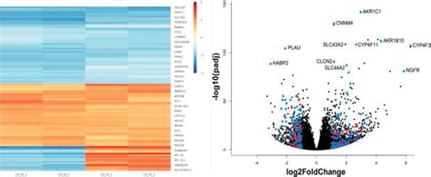 Gene Expression And Transcriptome Sequencing Basics Analysis Advances Intechopen
