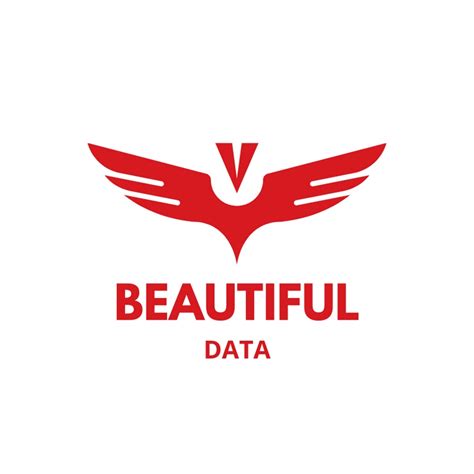 Beautiful Data Youtube