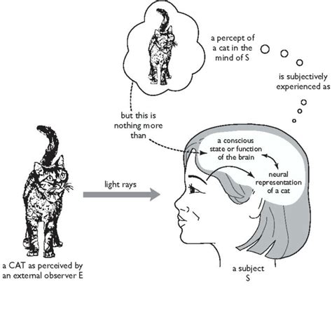 Reductionist Approach