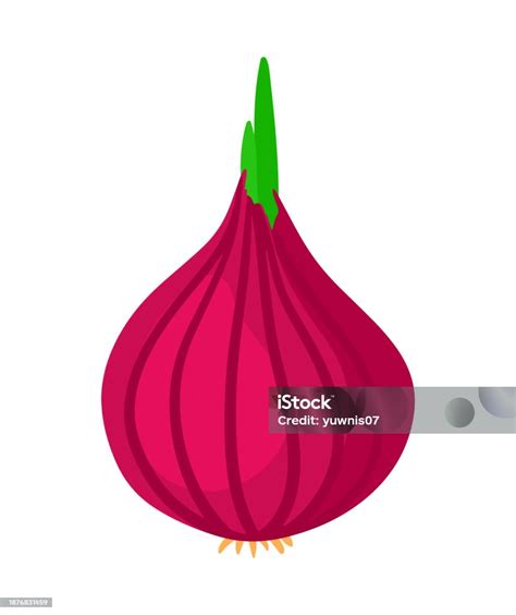 샬롯 빨간 양파 손으로 그리기 아이콘 로고 벡터 애니메이션 만화 일러스트 귀여운에 대한 스톡 벡터 아트 및 기타 이미지 귀여운 농장 드로잉 Istock