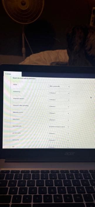 Solved Canvas Esc Match The Term With Its Definition Ocps