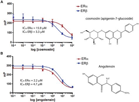 Fluorescence Polarization Competition Binding Assays For Era And Erb