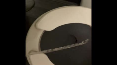 Pissing In The Airplane Bathroom Dane Coxx Free Sex Video Redtube