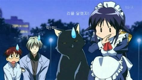 상상플러스시즌1e016sdtv 이성진 장윤정 코요태신지김종민 토렌트