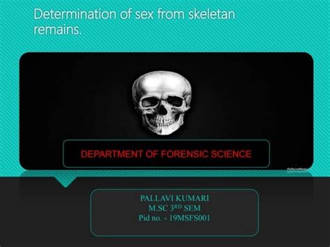 Sex Determination From Skull And Mandible Ppt