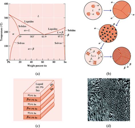 Eutectic Phase Diagram Microstructure Diagram Media My Xxx Hot Girl