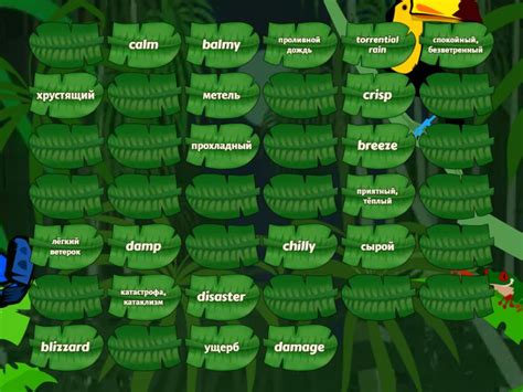 Form 9 Words Lesson 1 2 Matching Pairs