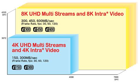Speed Class SD Association