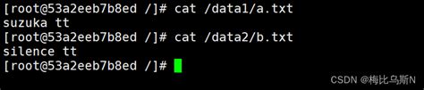 docker数据管理 csdn博客