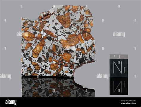 Hassi El Biod 002 Found 2021 Ouargla Algeria Pallasite Ungrouped Total Mass 10 Kg