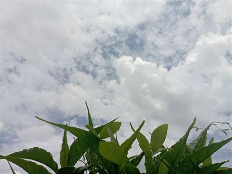 Hunting Shadows Peakd