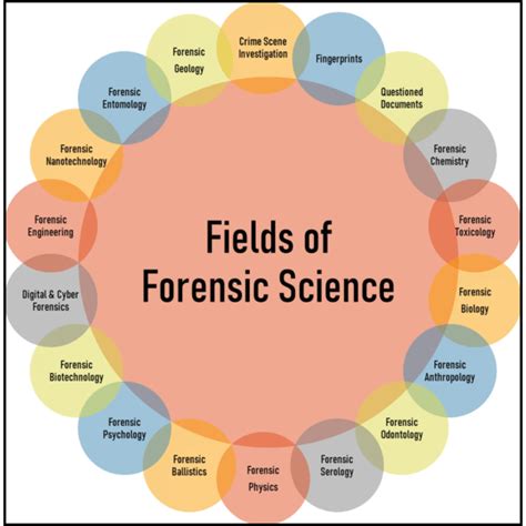 National Forensic Infrastructure Enhancement Scheme Nfies Clearias