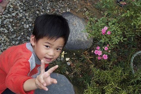 雲林古坑羅莎玫瑰莊園 羅莎小鋪令人購物失心瘋 甘單慢漫遊