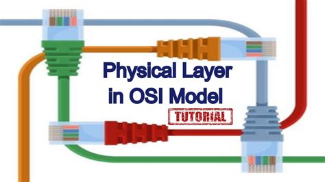 5 Layer Osi Model
