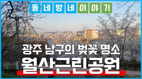 광주 남구의 벚꽃 명소 월산근린공원 YouTube