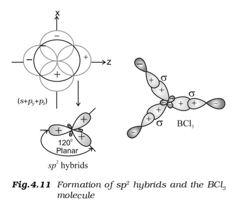 What Is Hybridization Explain Sp2 Hybridization With Example At Priscilla Duffey Blog