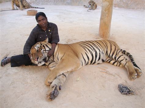 Meenakshi Vijayakumar Deputy Director Tamilnadu Fire And Rescue Services