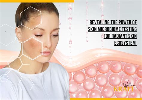 Revealing The Power Of Skin Microbiome Testing For Radiant Skin Ecosystem 2023 Wellness Kraft