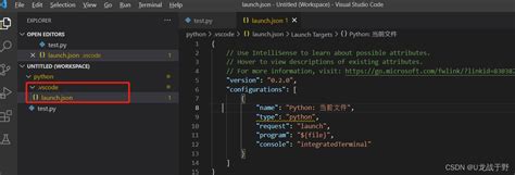 Python之基础（一）使用vscode调试vscode运行多个py文件 Csdn博客