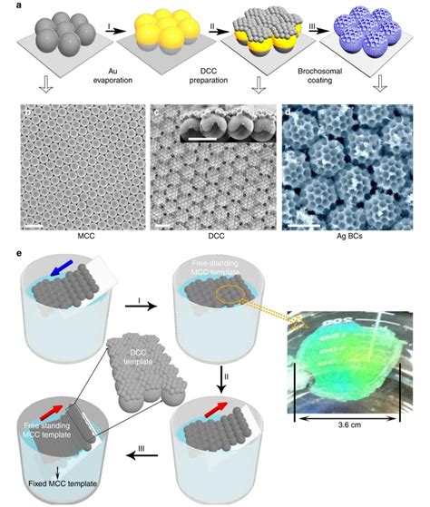 Plasmonic Football Like Structure And Its Fabricating Process Based On