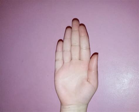 Rgb Arabic Alphabet Sign Language Aasl Dataset Object Detection