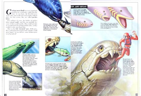 Prehistoric Zoobooks Pages 31 By Rowserlotstudios1993 On Deviantart