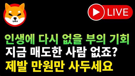 시바이누 지금 매도한 사람 없게 해주세요 시바이누 시바이누코인급등 Youtube