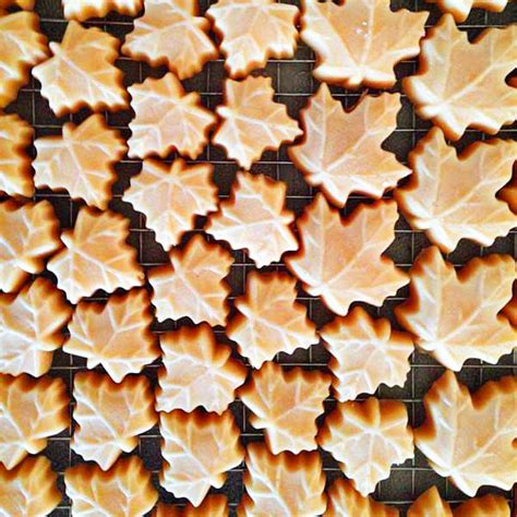 Maple Sugar Leafminimum 5 Pieces Spring Valley Maple