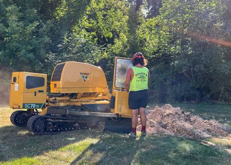 Stump Grinding Chuck S Tree Service