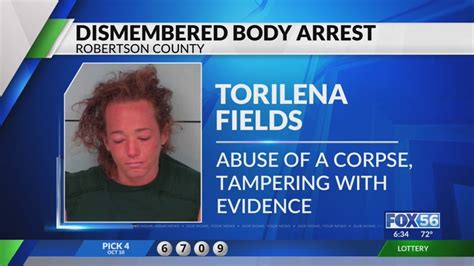 A First Look At Torilena Fields Youtube