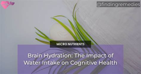 Brain Hydration The Impact Of Water Intake On Cognitive Health