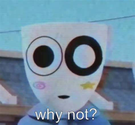 Why Not Gangle Blank Template Imgflip