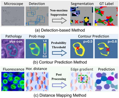 논문 리뷰 The Four Color Theorem For Cell Instance Segmentation