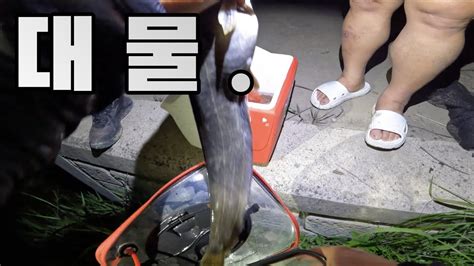 다리통만한 대물 메기를 빼앗 겼습니다ㄷㄷ YouTube