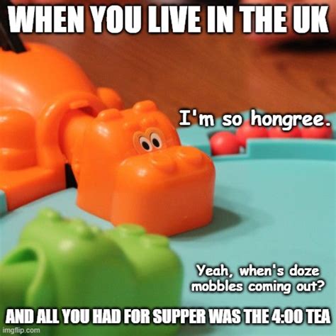 Hungry Hippo Memes