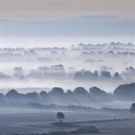 1440x1440 Resolution Valley Fog Trees 1440x1440 Resolution Wallpaper
